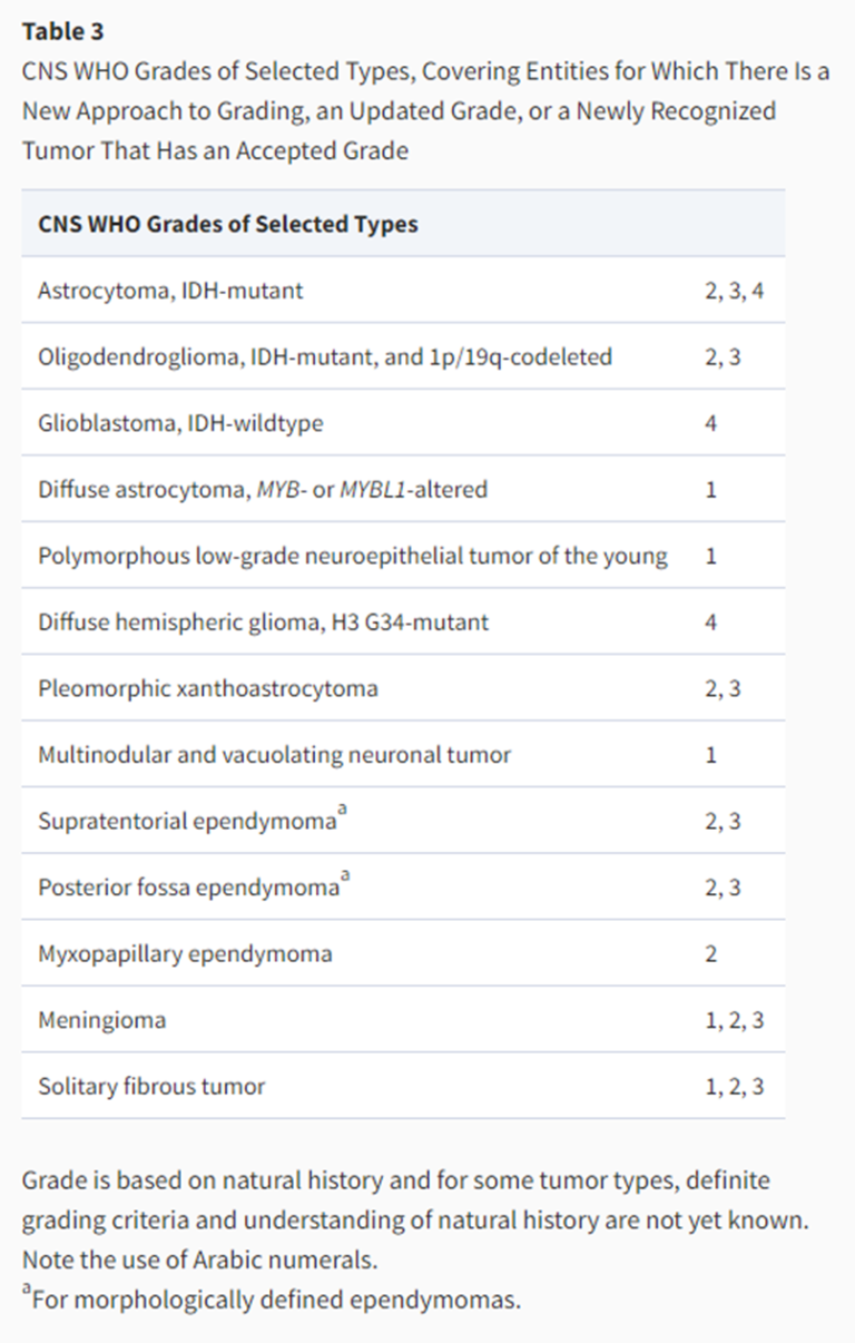 星細胞腫（astrocytoma）